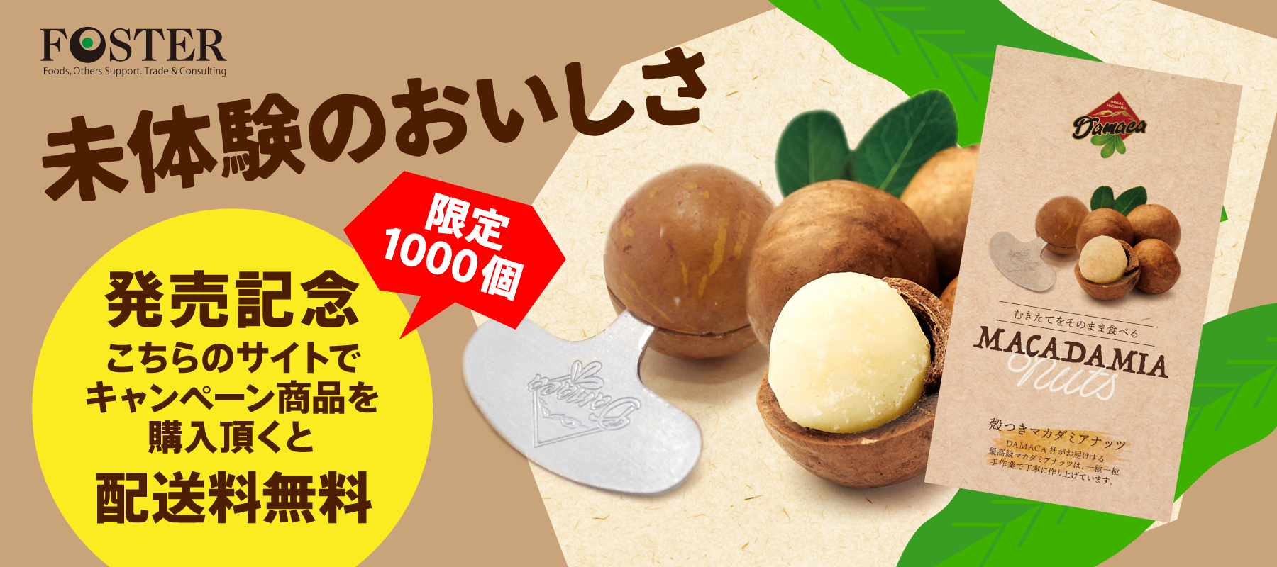 【OLTY】あれもこれもオルティー